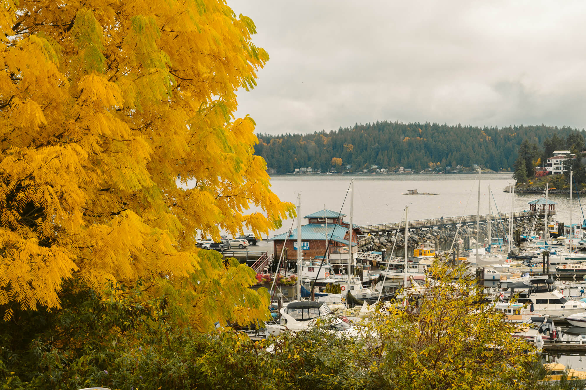9 Things to Do in Sechelt When it Rains (2022 Update)