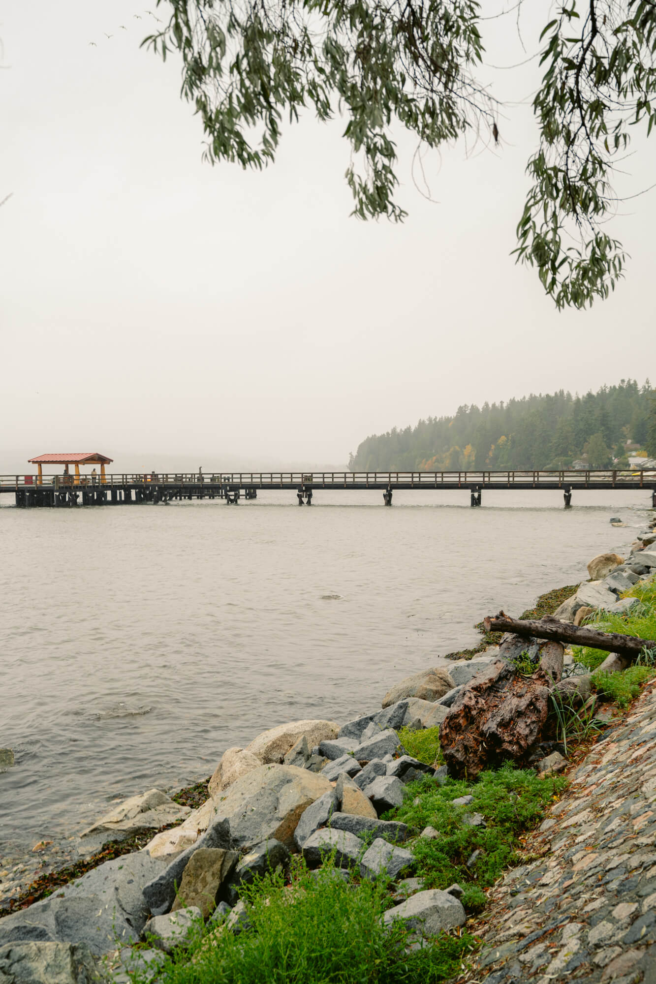 9 Things to Do in Sechelt When it Rains (2022 Update)