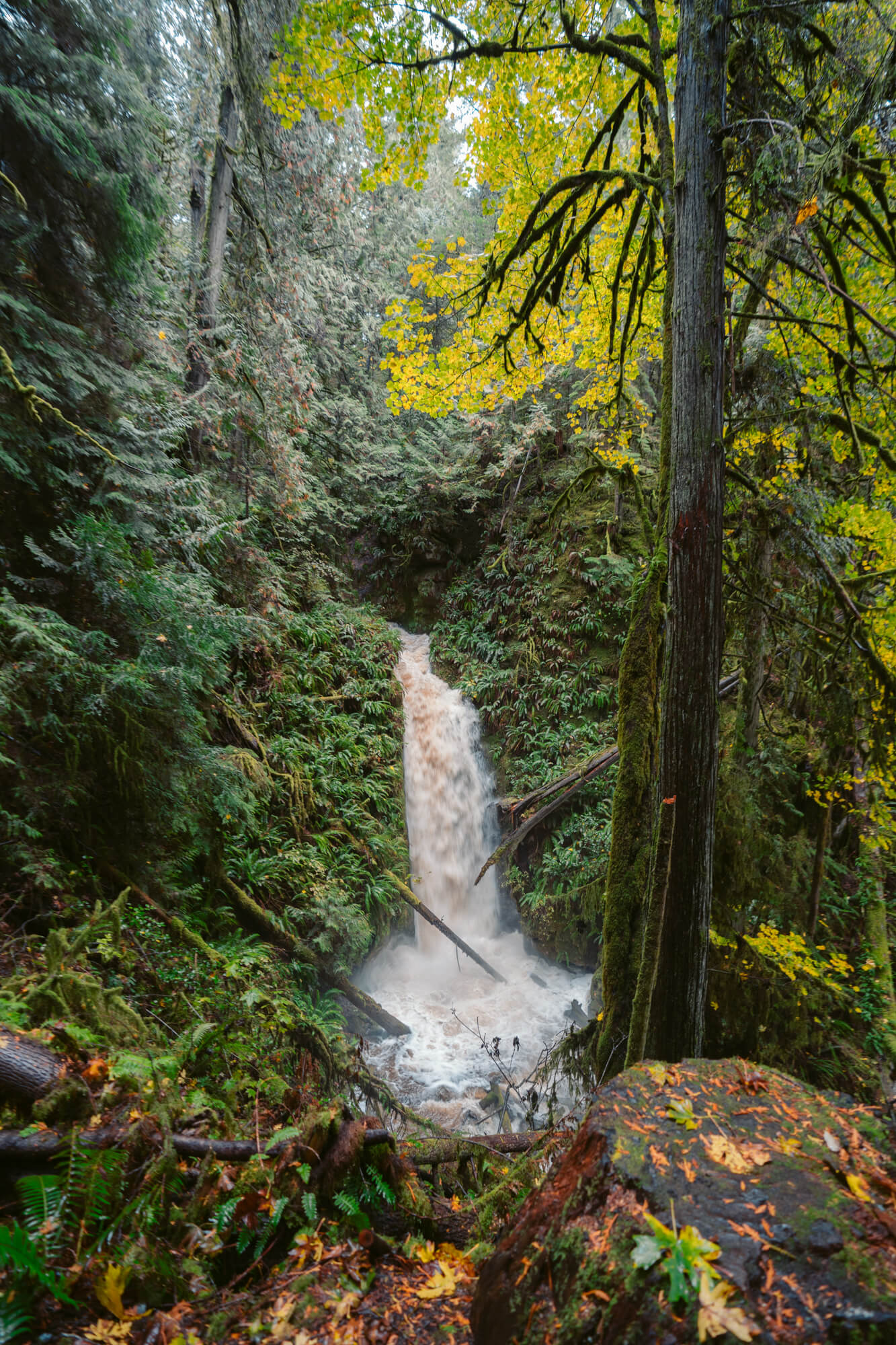 9 Things to Do in Sechelt When it Rains (2022 Update)